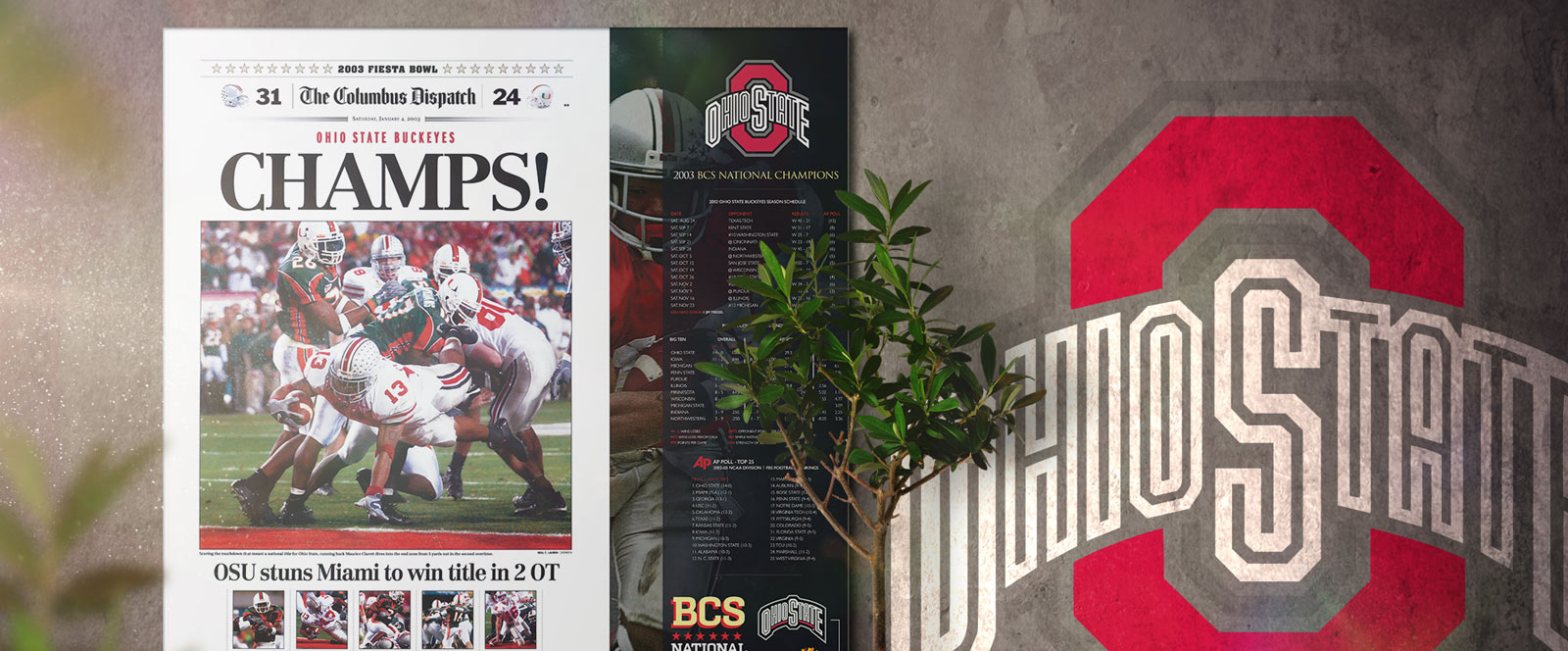 Ohio State Buckeyes Football Glass Wall Frame 21.6" x 28.8" inch - 2003 ...